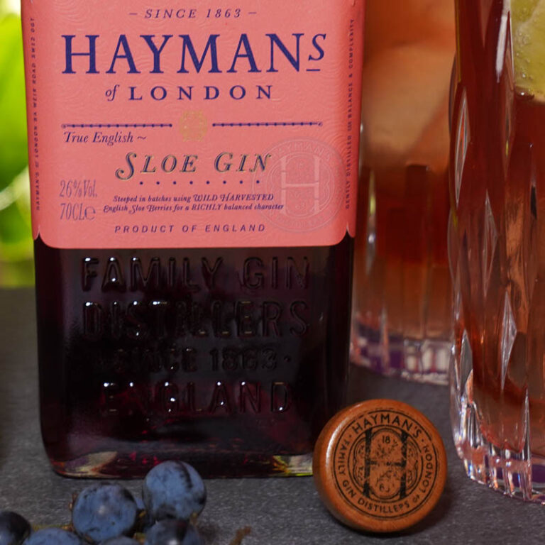 Hayman's True English Sloe Gin - ginvasion - mit Schlehen