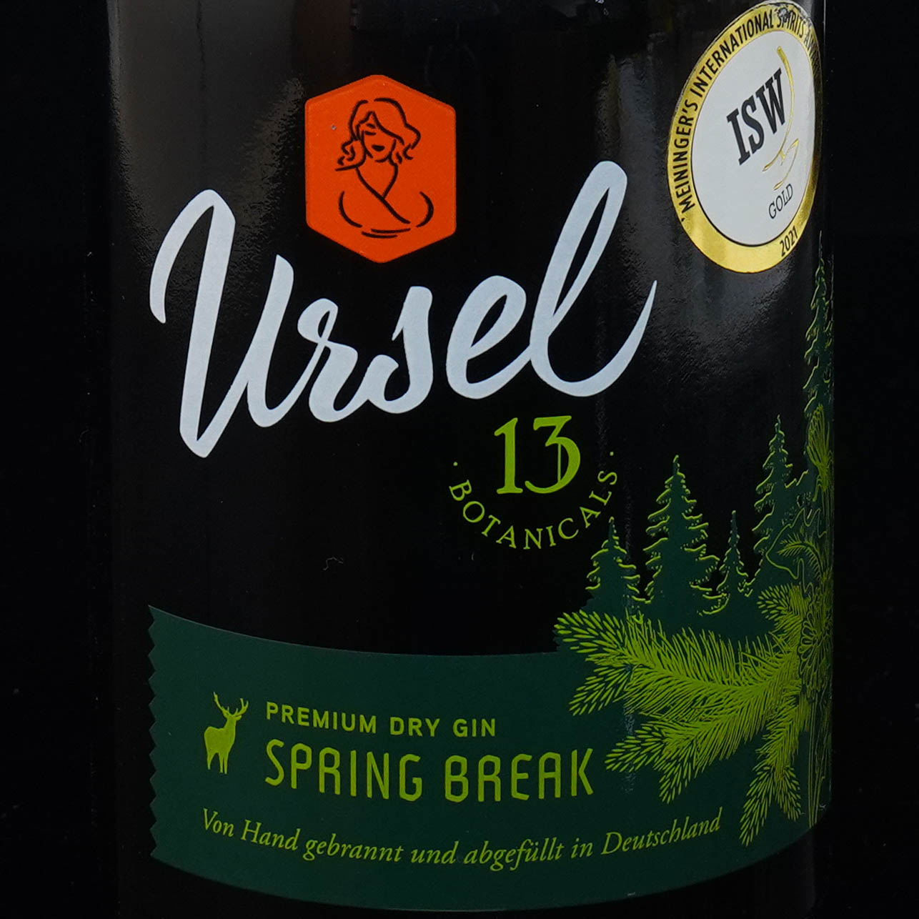 Ursel Spring Break - ginvasion